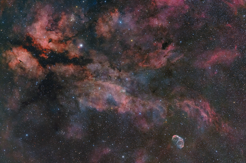 タカハシ FCT-65D【即納】 ネイチャーショップKYOEI